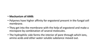 anti-fungal Drugs.pptx