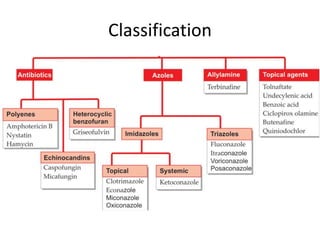 Anti-fungal drugs | PPTX