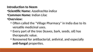 Anti Fungal Properties of Neem{the herb) .pptx