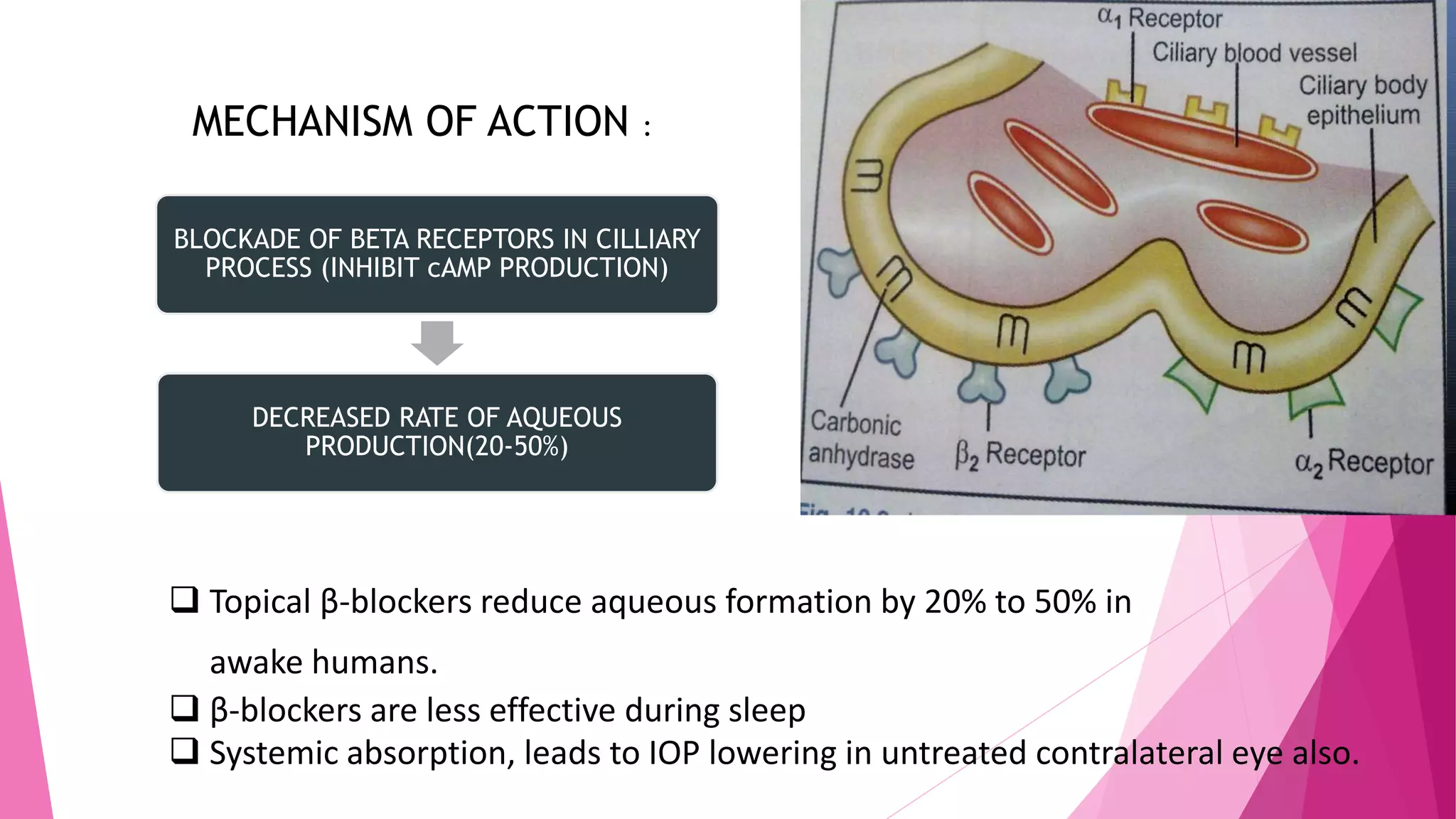 Anti glaucoma drugs | PPTX