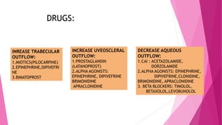 Anti glaucoma drugs | PPTX