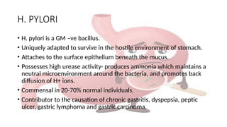 ANTI HELICOBACTER PYLORI DRUGS AND TREATMENT OF H.PYLORI .pptx
