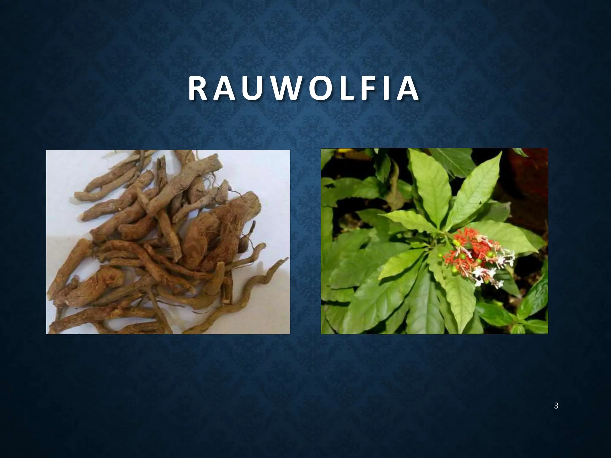 ANTI-HYPERTENSIVE DRUG - RAUWOLFIA ROOT. | PPTX