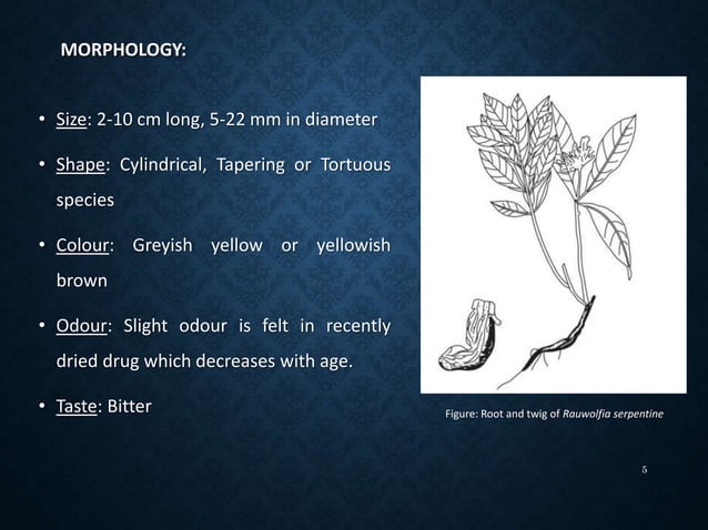 ANTI-HYPERTENSIVE DRUG - RAUWOLFIA ROOT. | PPTX