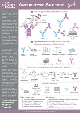 Anti-idiotype Antibody Production | PDF