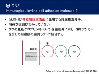 anti-IgLON5 disease.pdf