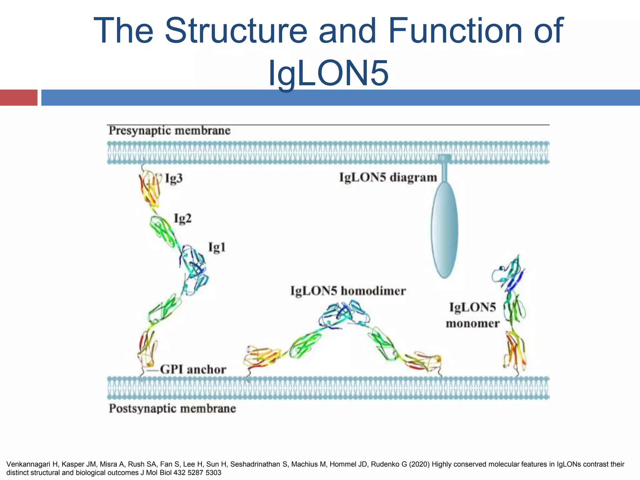 Anti-IgLON5 Disease.pptx