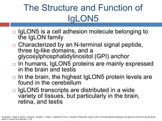 Anti-IgLON5 Disease.pptx