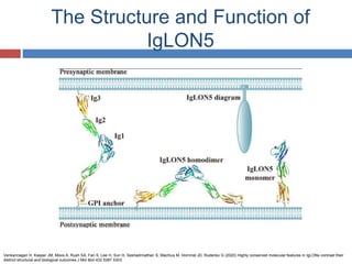 Anti-IgLON5 Disease.pptx