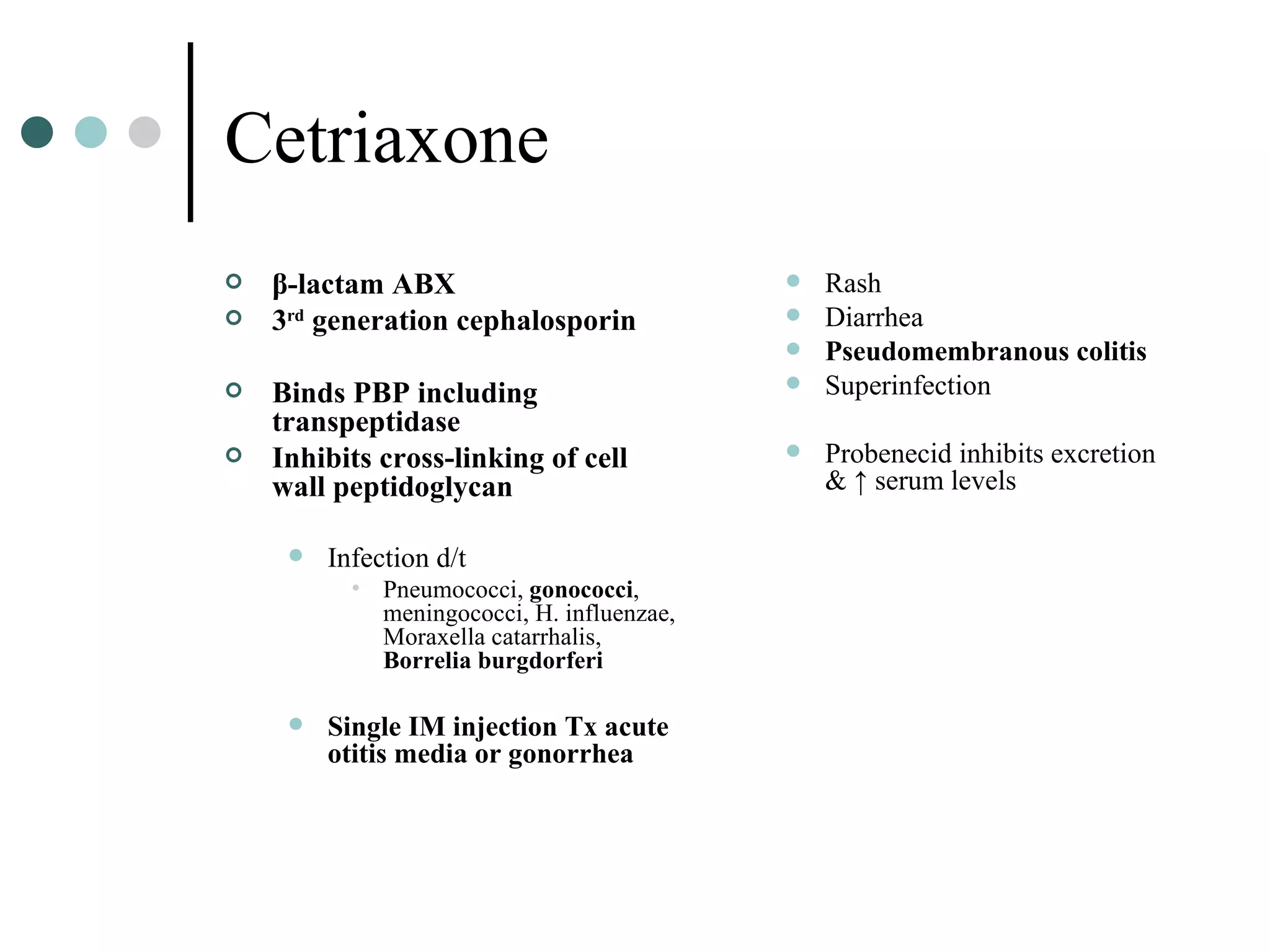 Anti infective | PPT
