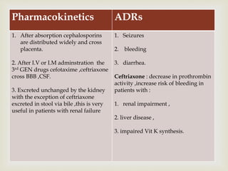 Anti-infective therapy | PPTX