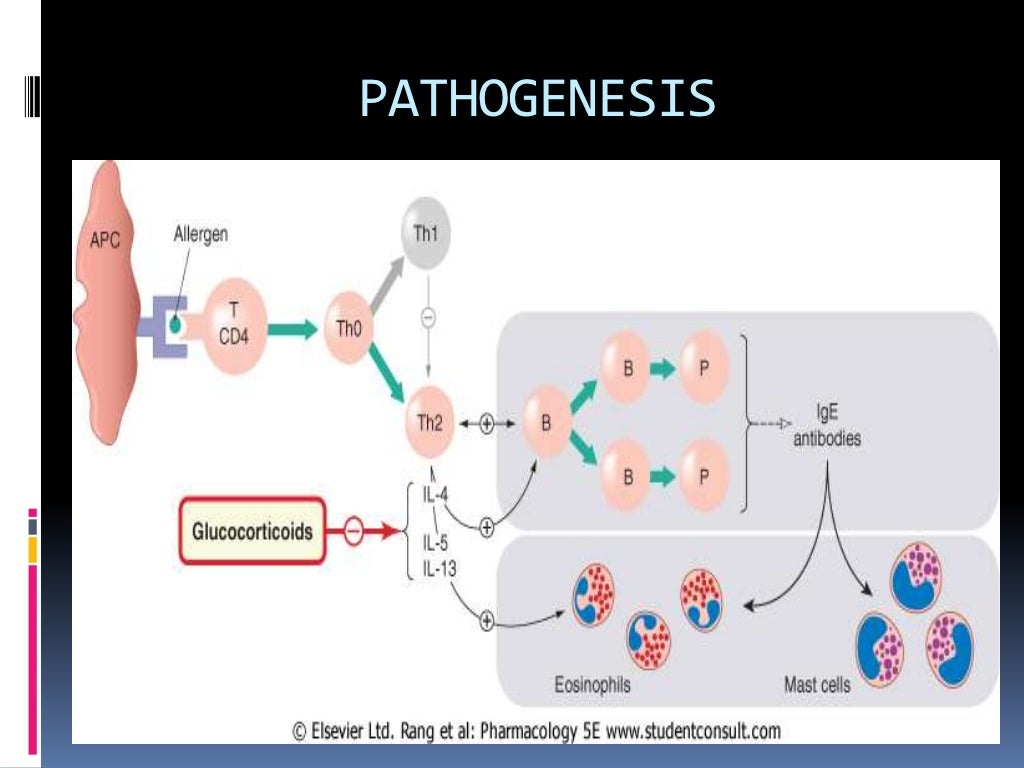 PATHOGENESIS