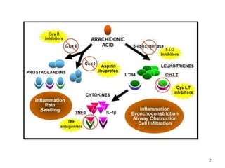 Anti inflammatory drugs | PPTX