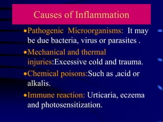 Anti inflammatory drugs in farm animals | PDF