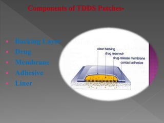 Anti inflammatory tdds ppt | PPTX