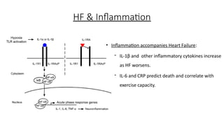 Anti-Inflammatory Therapy for HF- adam.pptx