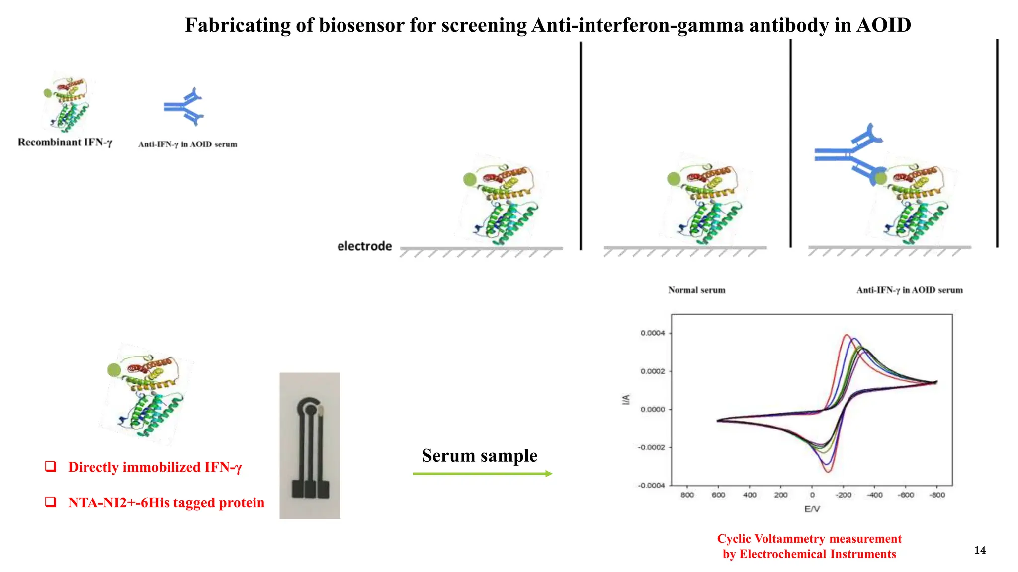 anti-interferon-gamma -strip test-biosensor_13012022_WT.pptx