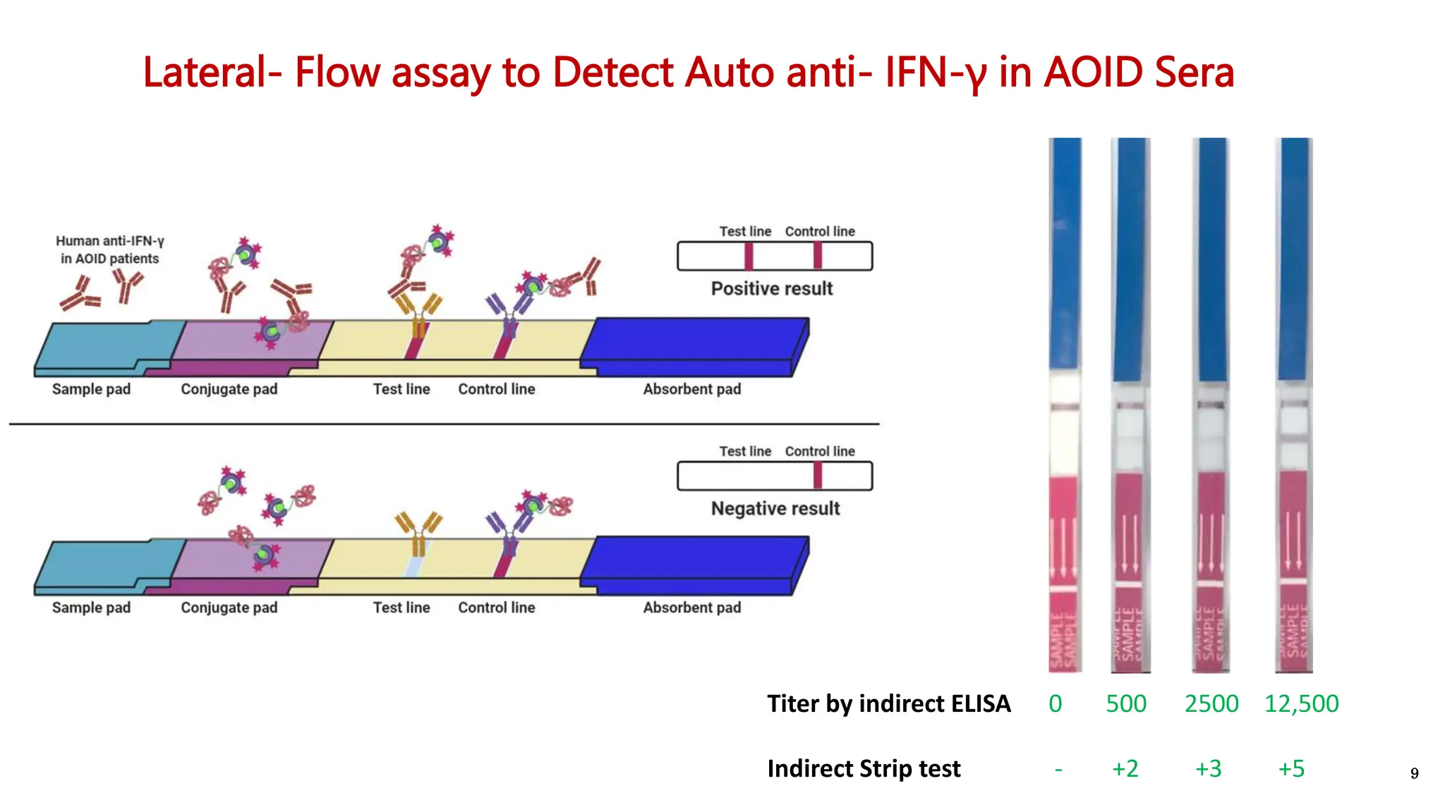 anti-interferon-gamma -strip test-biosensor_13012022_WT.pptx