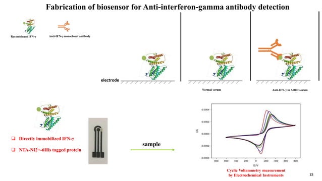 anti-interferon-gamma -strip test-biosensor_13012022_WT.pptx
