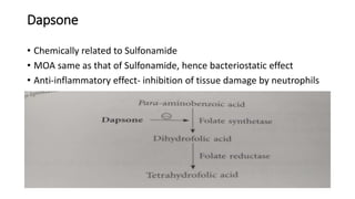 Anti leprosy drugs | PPTX