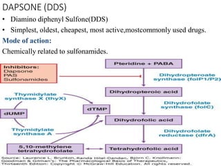 ANTI-LEPROTIC DRUGS.pptx