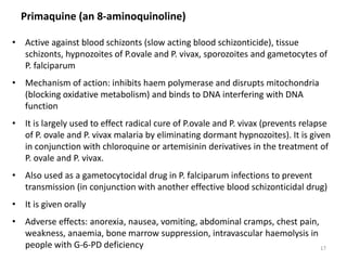 ANTI-MALARIA DRUGS.pptx
