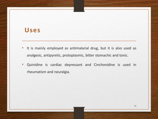 ANTI-MALARIALS - PHARMACOGNOSTIC NOTE ON CINCHONA AND ARTEMISIA | PDF
