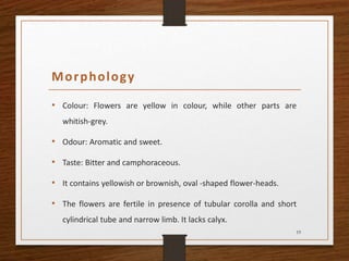 ANTI-MALARIALS - PHARMACOGNOSTIC NOTE ON CINCHONA AND ARTEMISIA | PDF