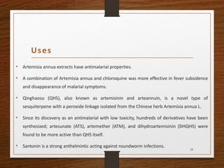 ANTI-MALARIALS - PHARMACOGNOSTIC NOTE ON CINCHONA AND ARTEMISIA | PDF