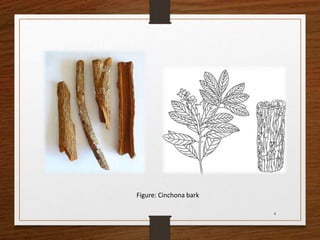 ANTI-MALARIALS - PHARMACOGNOSTIC NOTE ON CINCHONA AND ARTEMISIA | PDF