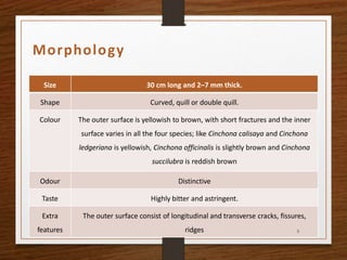 ANTI-MALARIALS - PHARMACOGNOSTIC NOTE ON CINCHONA AND ARTEMISIA | PDF
