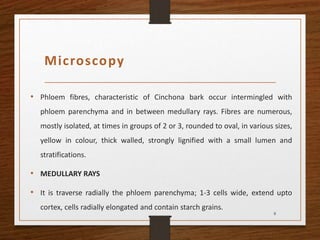 ANTI-MALARIALS - PHARMACOGNOSTIC NOTE ON CINCHONA AND ARTEMISIA | PDF