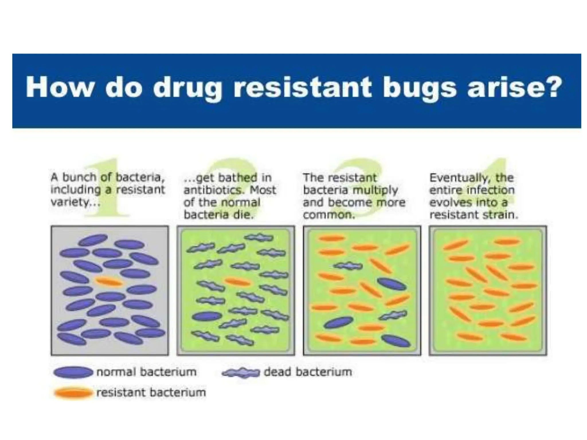 Anti-Microbial-Resistance.ppt12233445551 | PDF