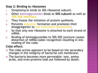 Anti-microbial agents mechanism of action LMR | PPSX