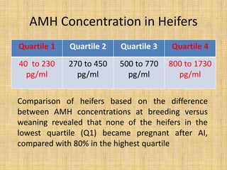 Anti mullerian hormone in animals | PPTX