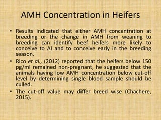 Anti mullerian hormone in animals | PPTX
