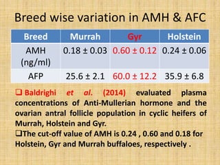 Anti mullerian hormone in animals | PPTX