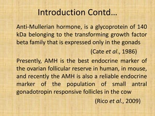 Anti mullerian hormone in animals | PPTX