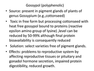 Anti nutritional factors | PDF