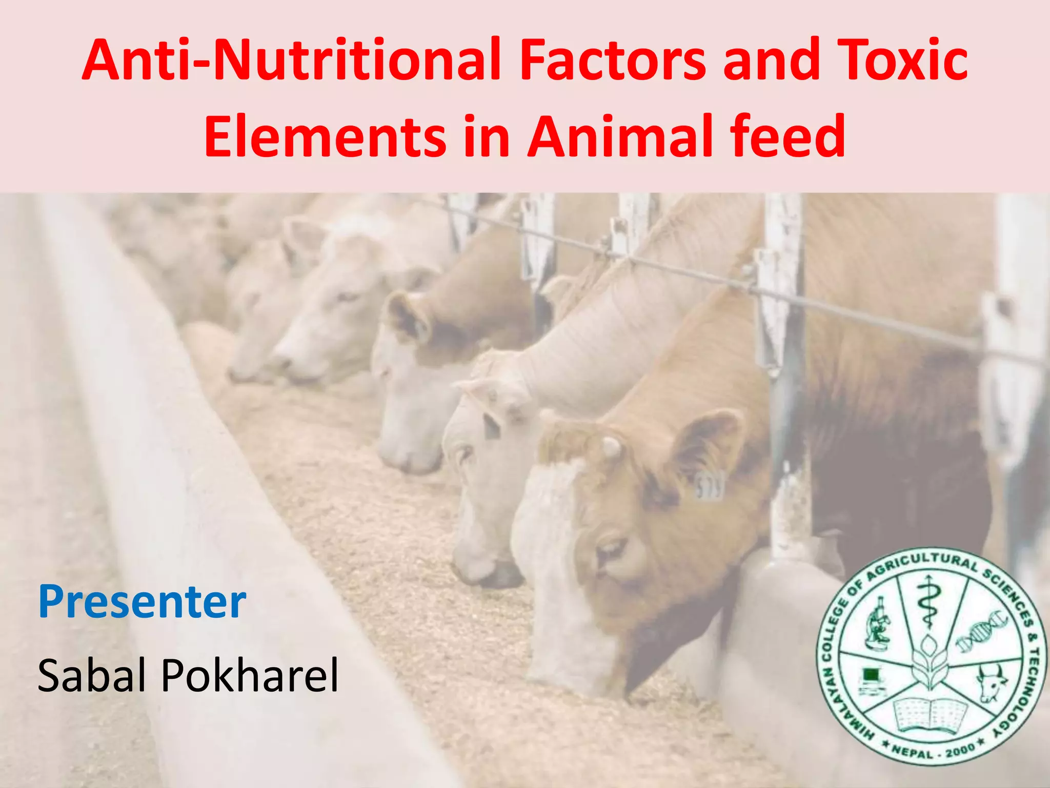 Anti nutritional factors and toxic elements in animal feed | PPTX