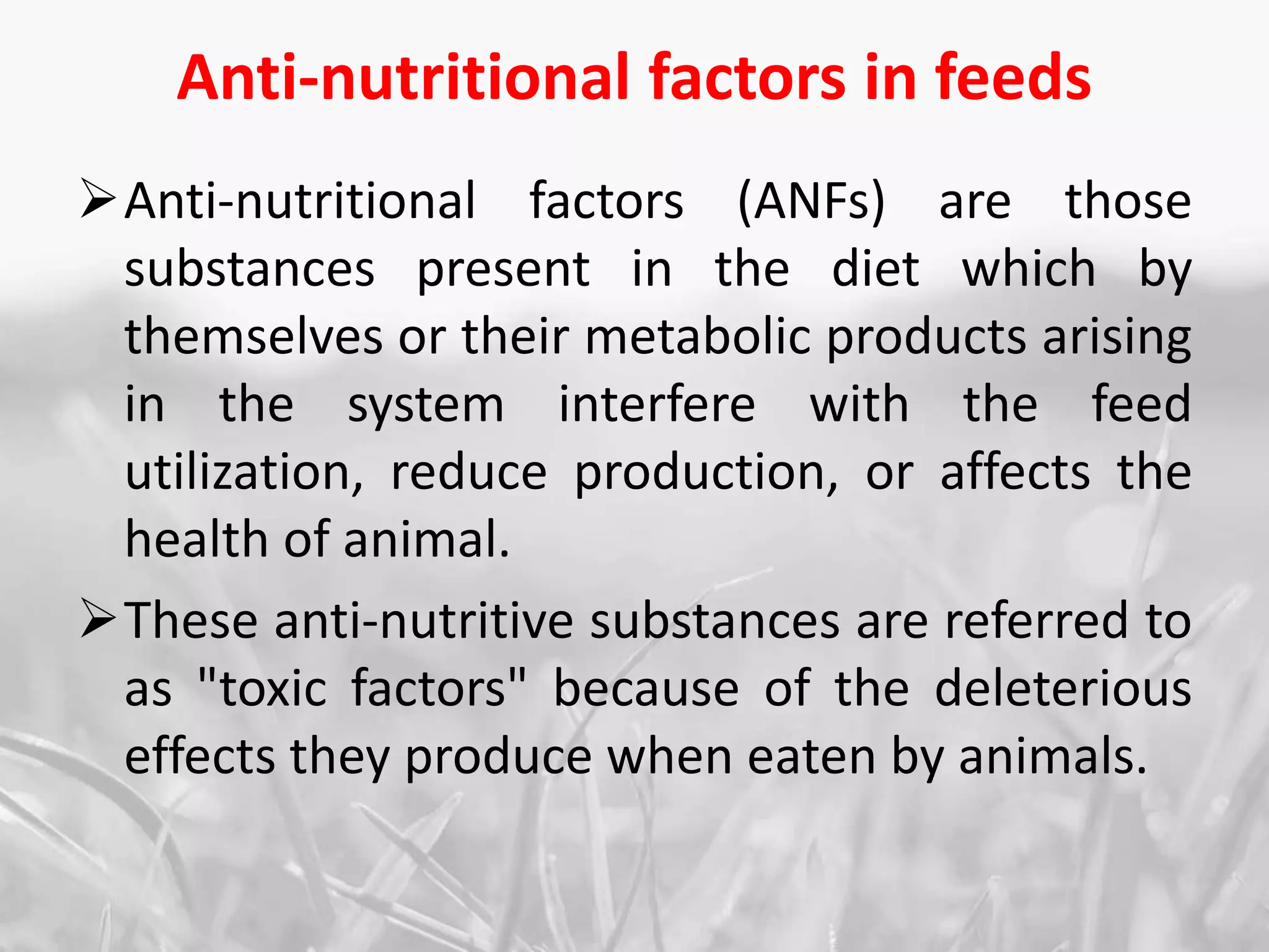 Anti nutritional factors and toxic elements in animal feed | PPTX
