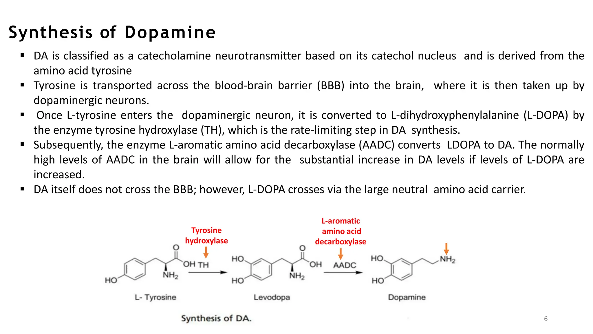 Anti -Parkinsonian Drugs-Medicinal Chemistry | PDF