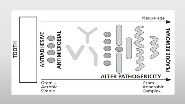 Anti plaque agents, Dr Sai Lakshmi | PPTX