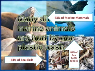 Anti plastic campaign | PPTX