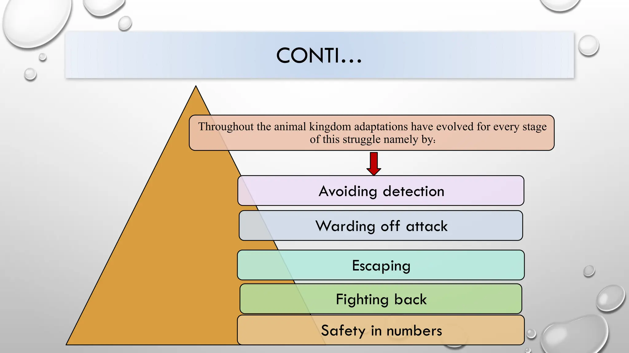 Anti-predator adaptations in animals.pptx