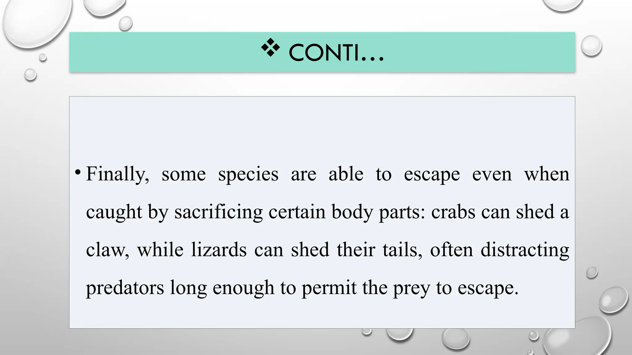 Anti-predator adaptations in animals.pptx