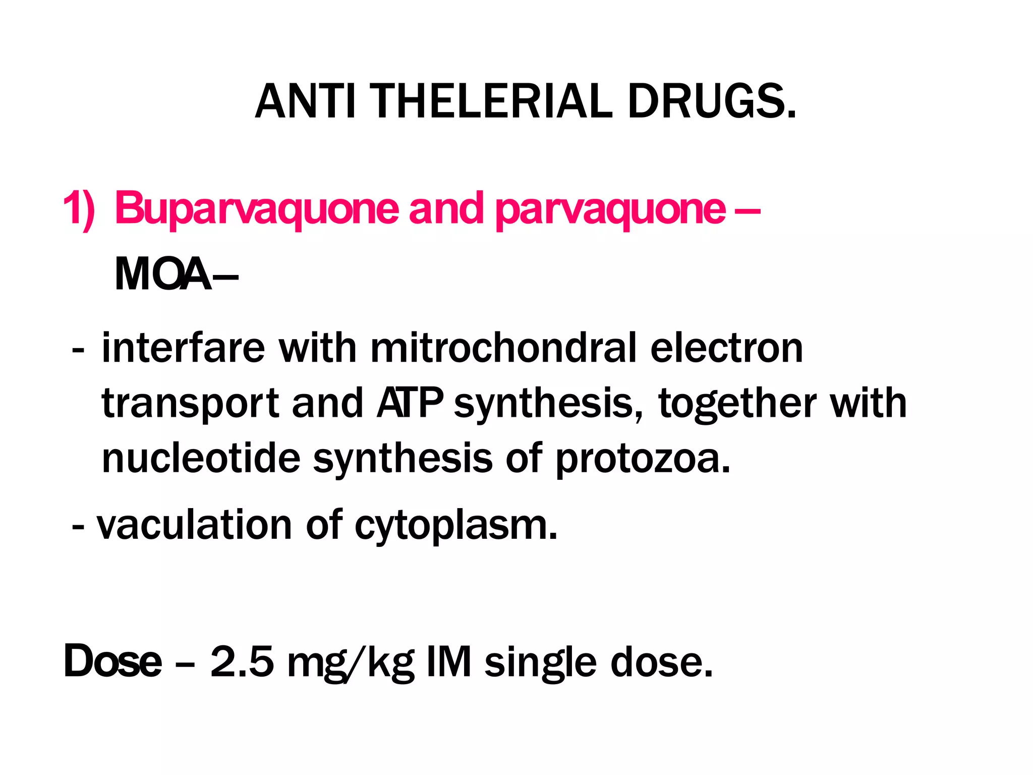 anti-protozoan.pptx
