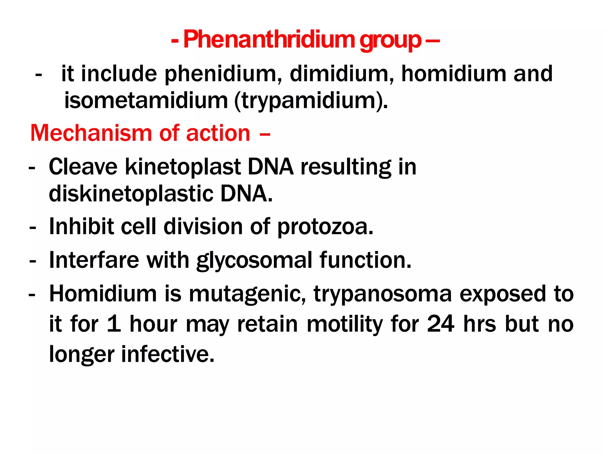 anti-protozoan.pptx