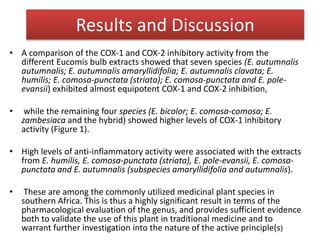 ANTI-PYRETIC IN-VITRO ASSAYS presentation.pptx