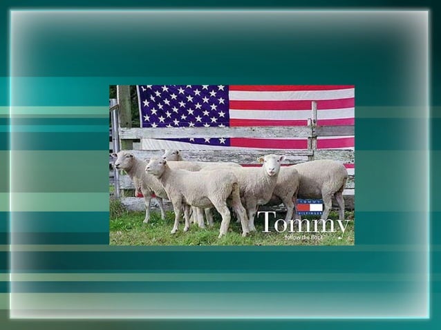 Anti-Advertisement | PPT